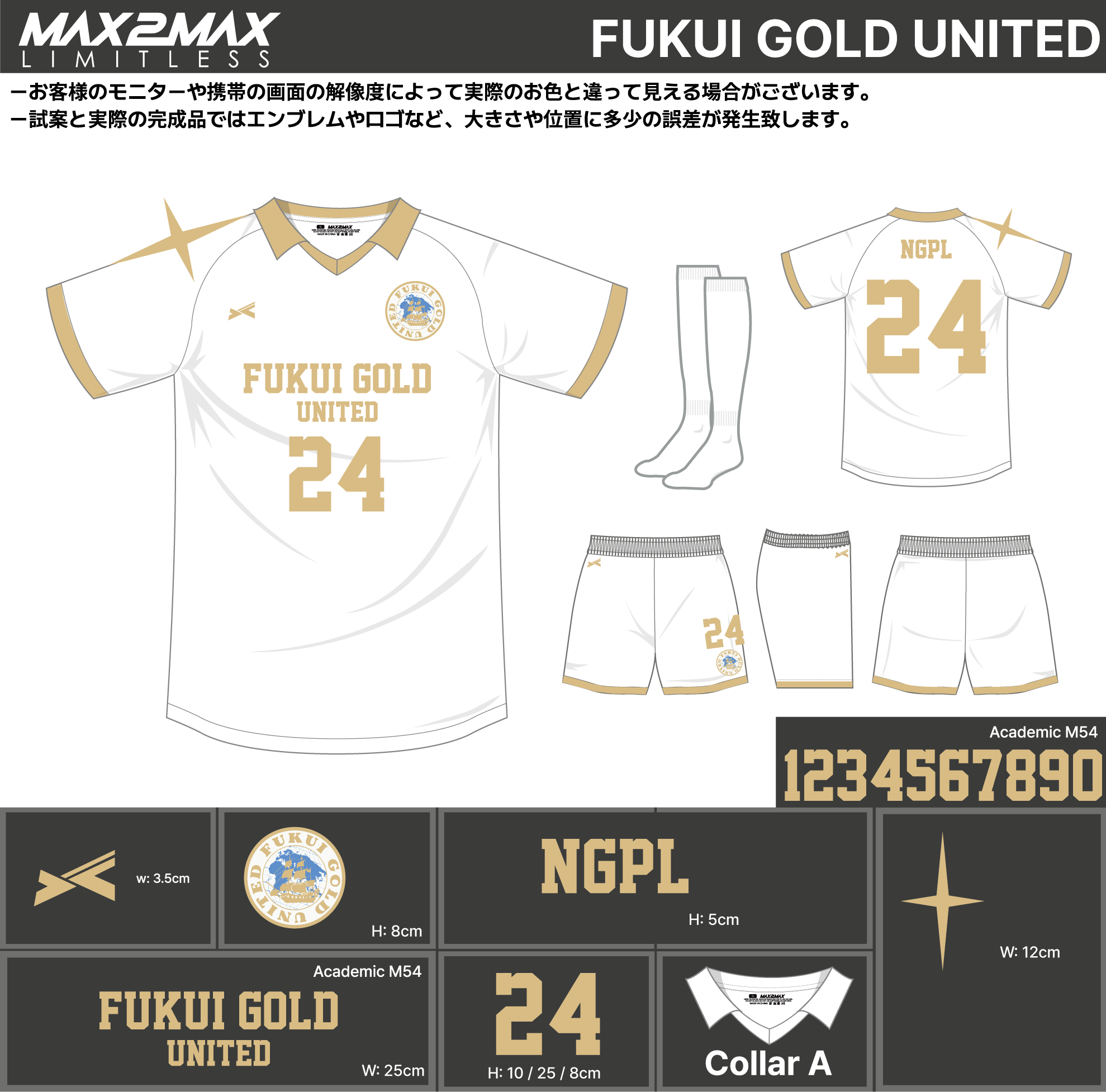 250304_FUKUI GOLD UNITED_サッカー追加見積書 - MAX2MAX
